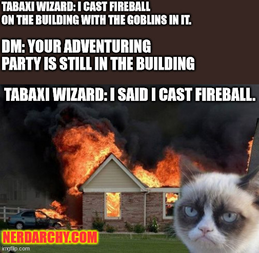 Tabaxi Wizard – Nerdarchy