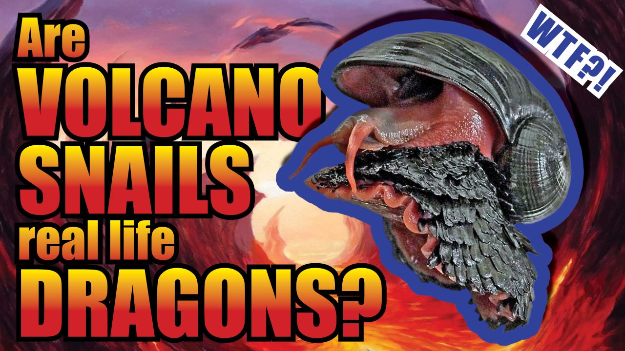 Tier 2 Cleric Spells and Spellcasting in 5E D&D – Nerdarchy